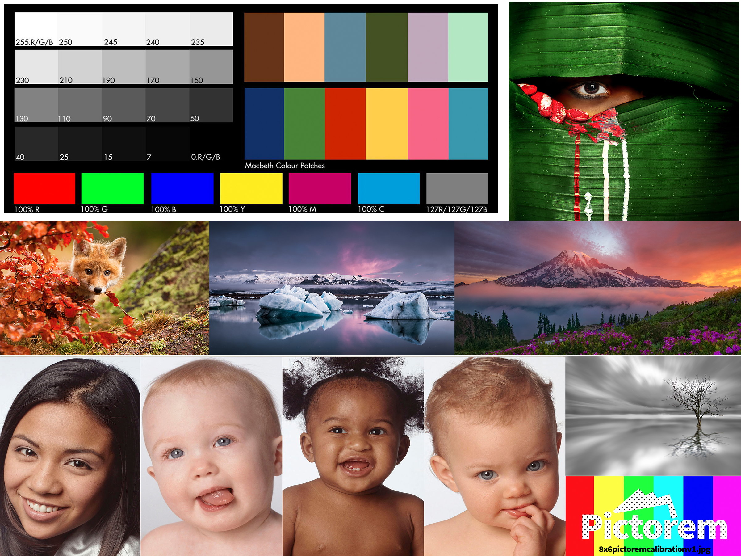 Pictorem PRO Resources