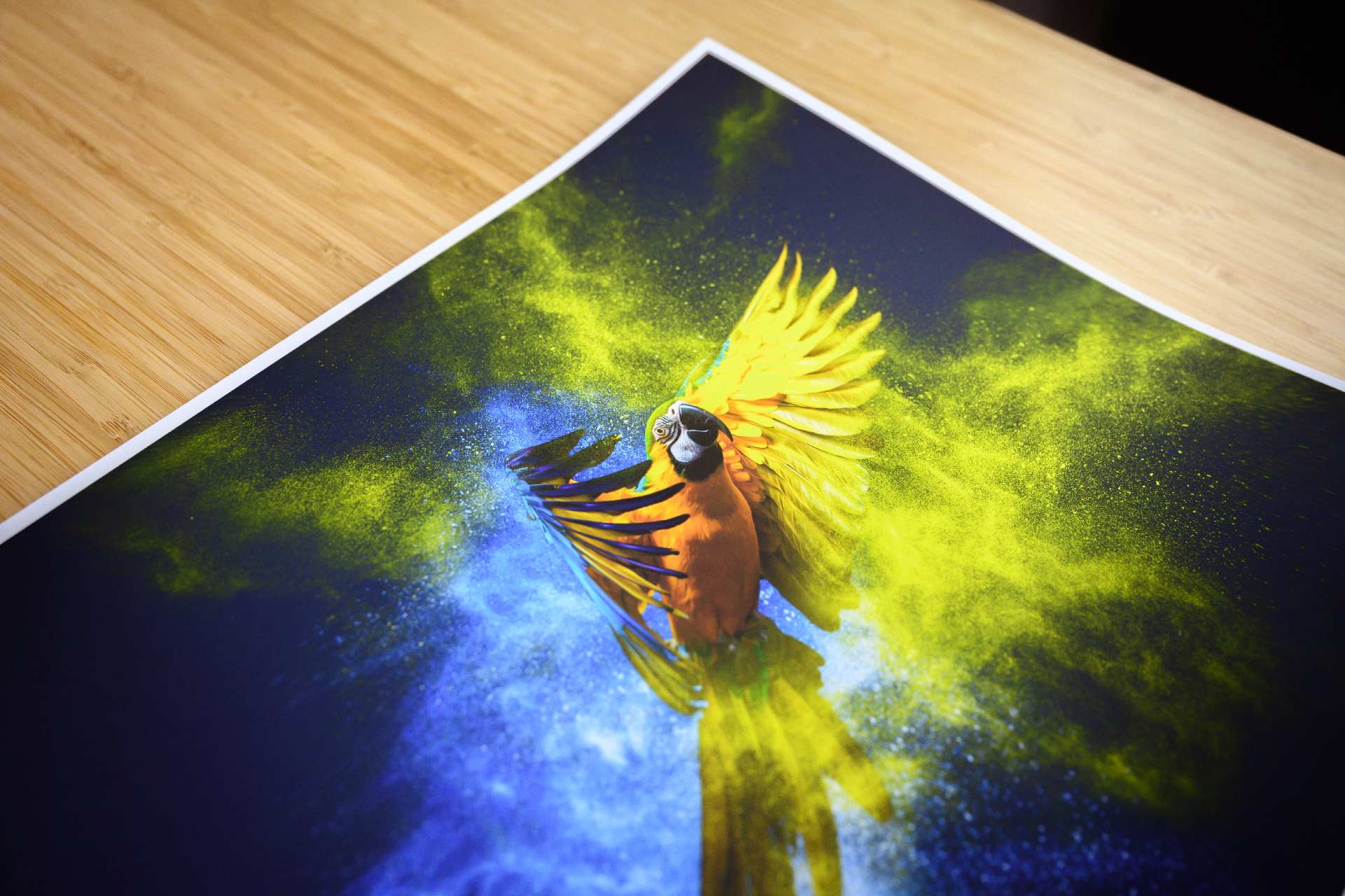 Fine Art Photo Printing, photo print, poster print, satin photo paper ...