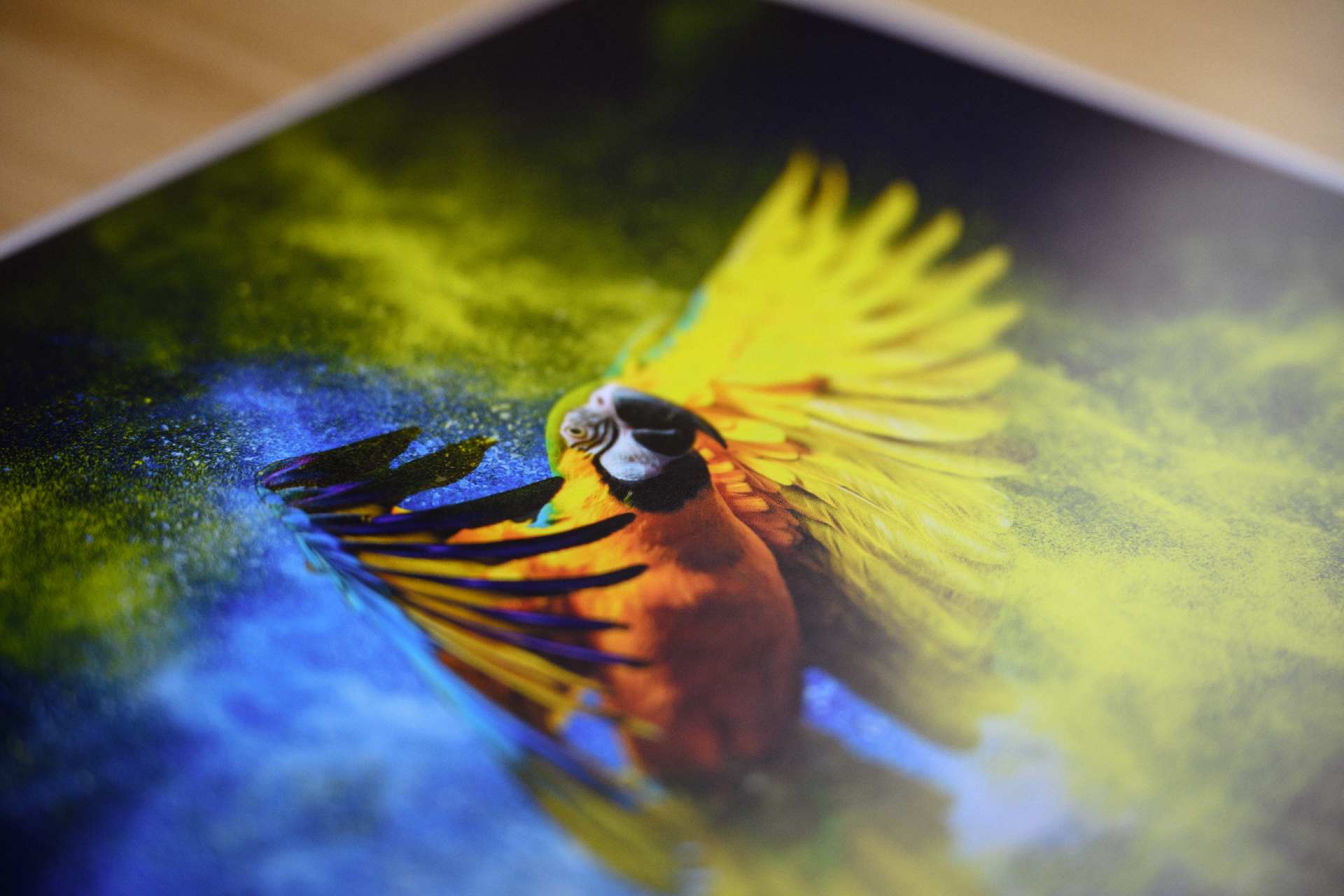 Fine Art Photo Printing, photo print, poster print, satin photo paper ...