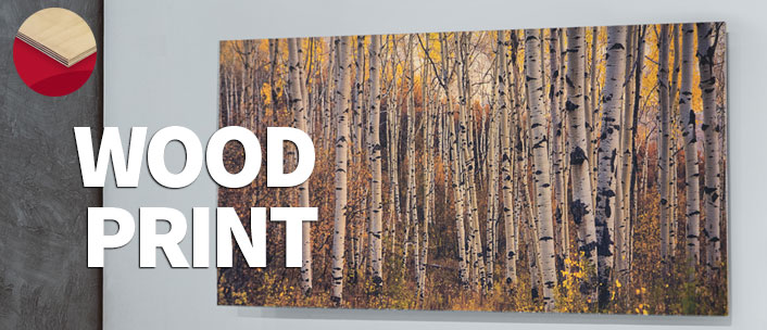 Canvas Acrylic Metal & Mural Printing - Pictorem.com