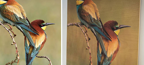 Wood Printing - Custom Wood Prints