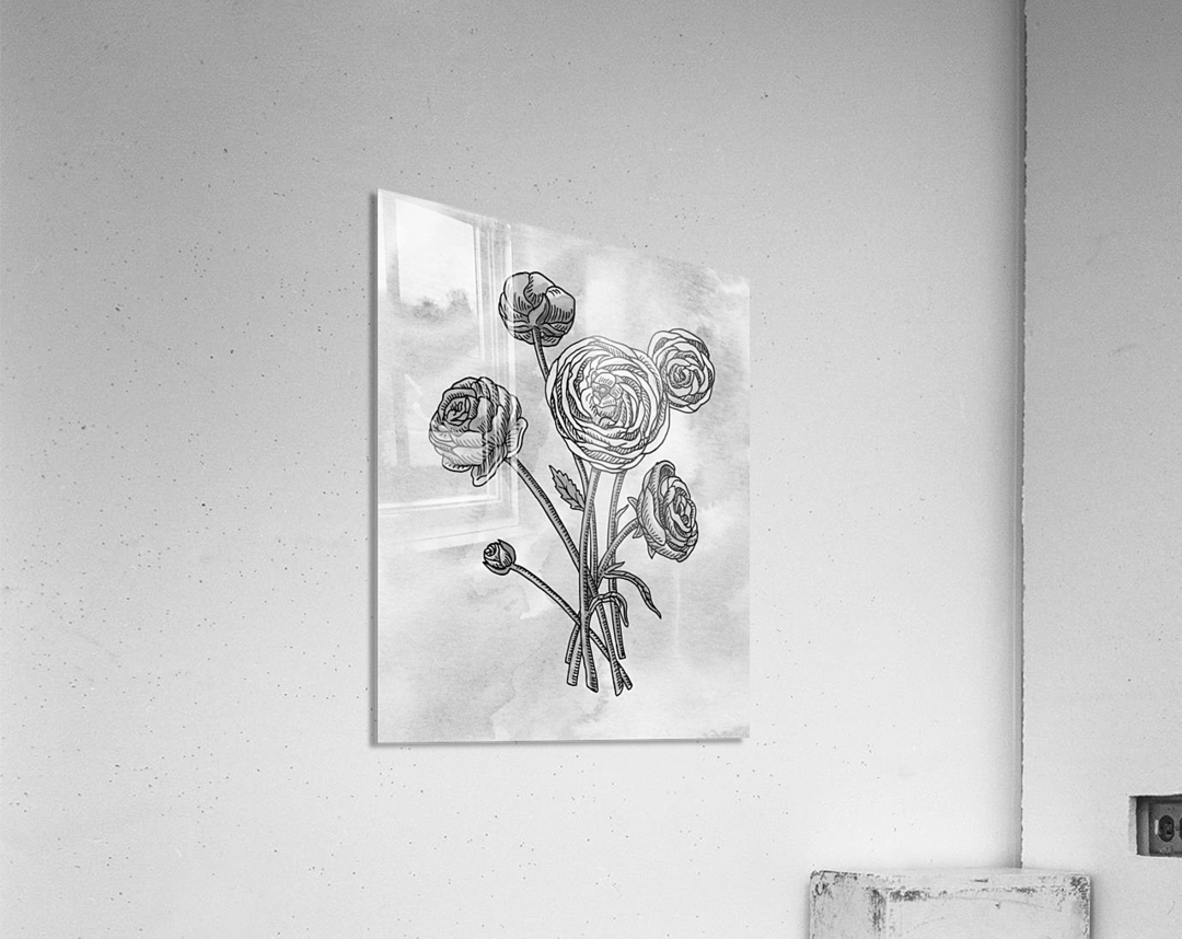 Ranunculus Simple Gray Botanical Flower On Watercolor Marble par Irina ...