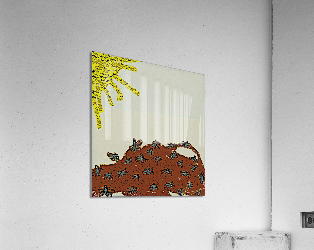 Wolf Spiders Rule Desertas Grande Island par Ed Purchla