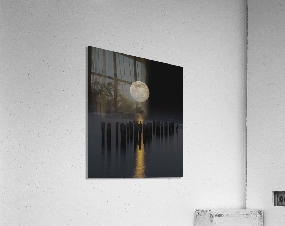 UNDER THE MOOM LIGHT by JOPIZ Wall Art