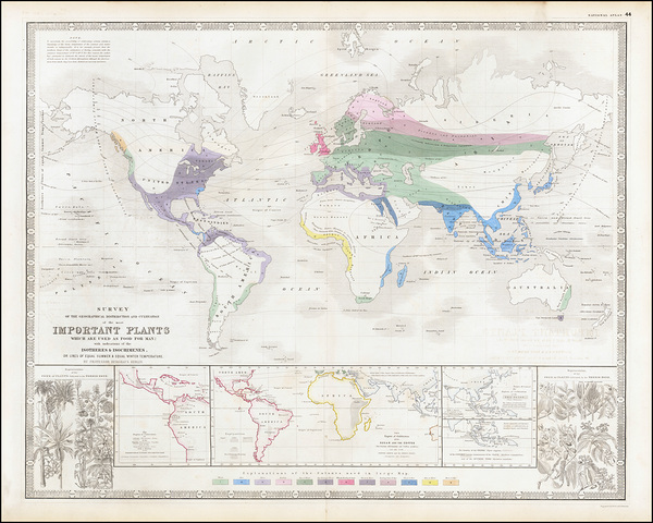1848 Crop Cultivation Map of the World by History In Your Home Wall Art