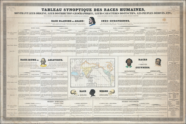 19th Century Race Science Infographic Chart by History In Your Home ...
