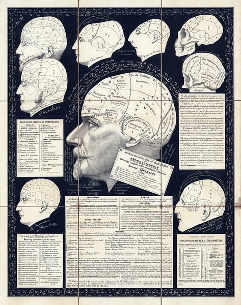 1867 Phrenology Skull Chart – Historic Victorian Diagram Depicting ...
