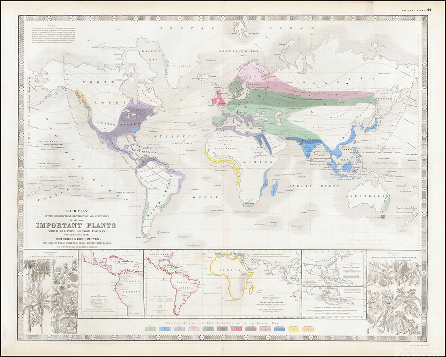 1848 Crop Cultivation Map of the World by History In Your Home Wall Art