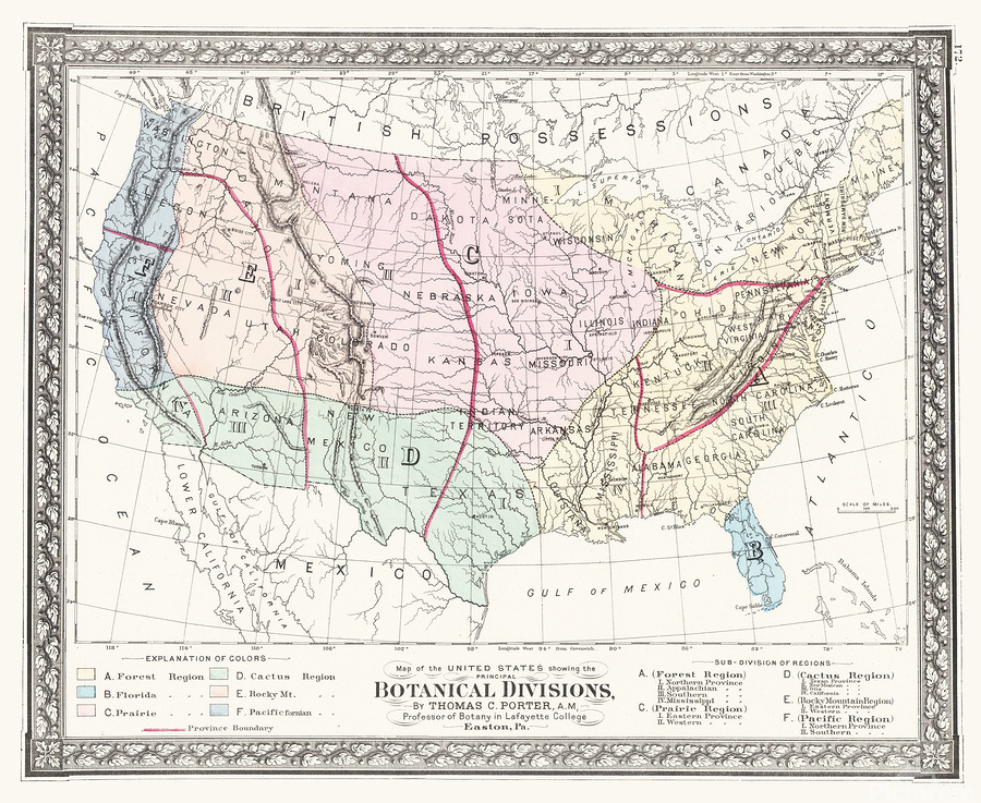 1878 Botanical Map of the United States – Historic Illustrated Plant ...