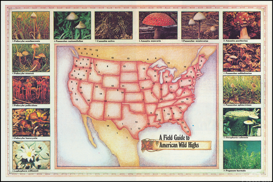 Drug Culture Map of the United States – Illustrated Counterculture Map ...