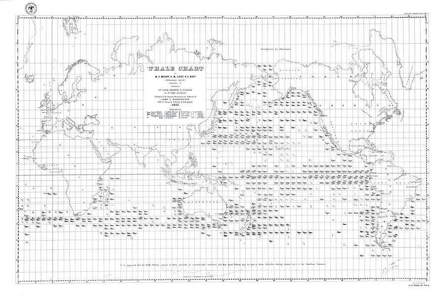 1851 Whale Chart of the World Showing Whale Migration Patterns Ocean ...