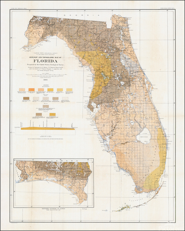 1909 Geological Map of Florida – Early 20th Century Survey Charting ...