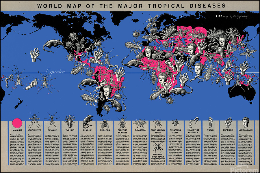 Pictorial World Map of the Major Tropical Diseases – Illustrated Global ...