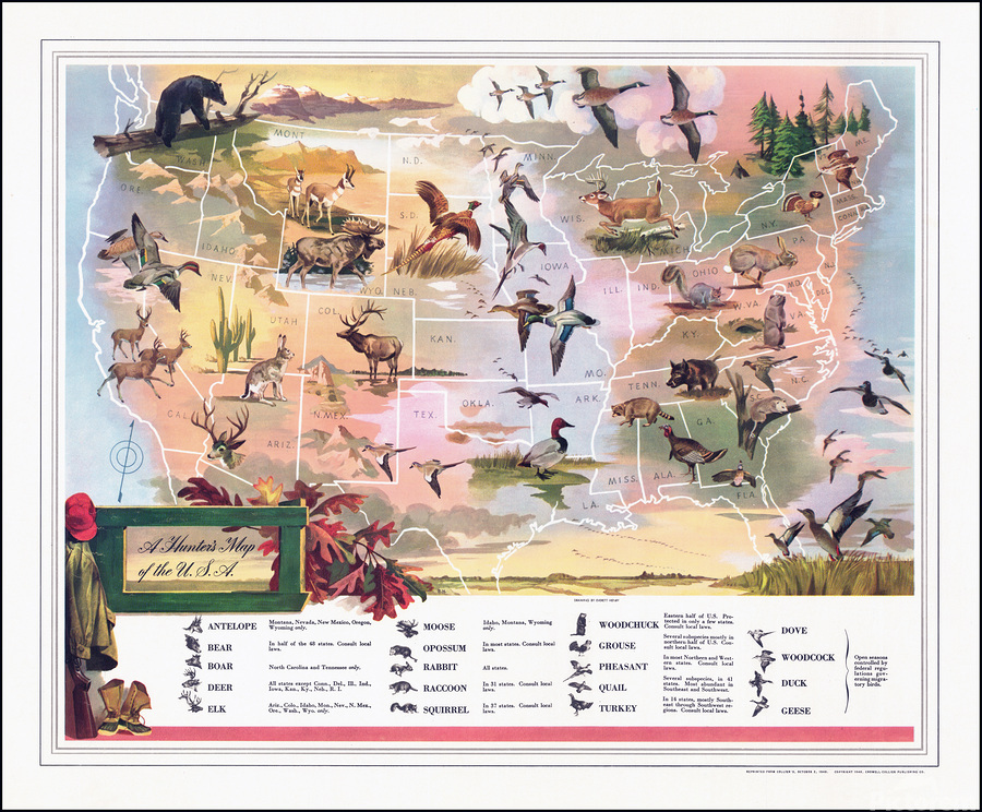 Pictorial Game Hunting Map of the United States – Illustrated Wildlife ...
