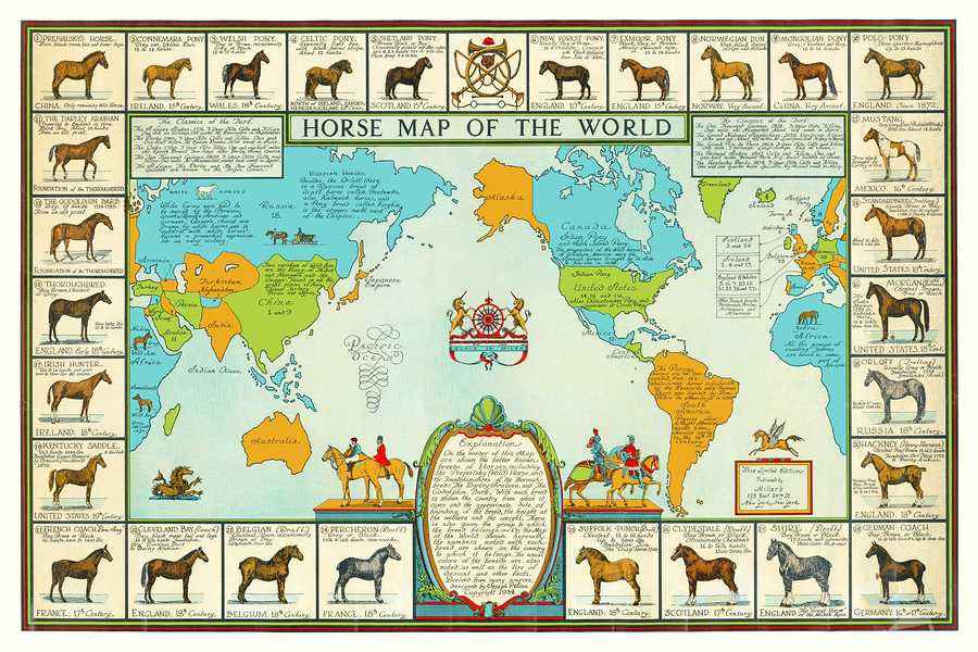 Pictorial World Map of Horse Breeds – Illustrated Global Map Showing ...