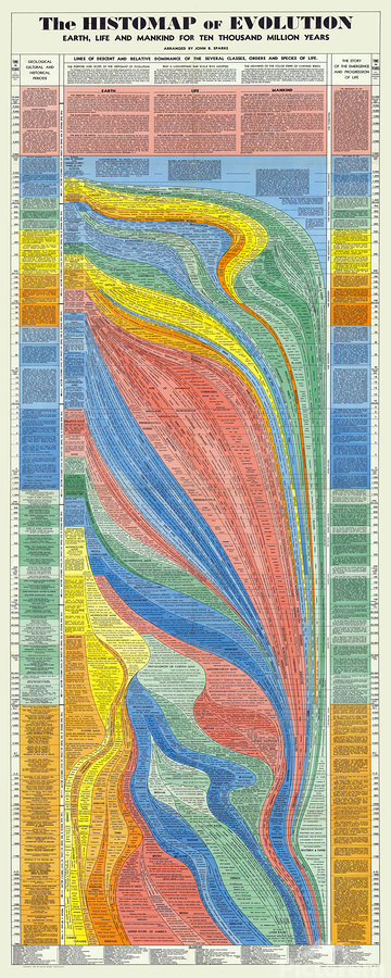 Histomap of Evolution – Visual Timeline Charting 4 Billion Years of Life on Earth from Single ...