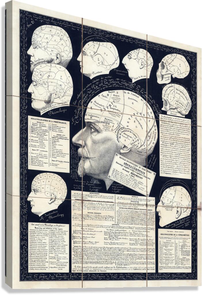 1867 Phrenology Skull Chart – Historic Victorian Diagram Depicting ...