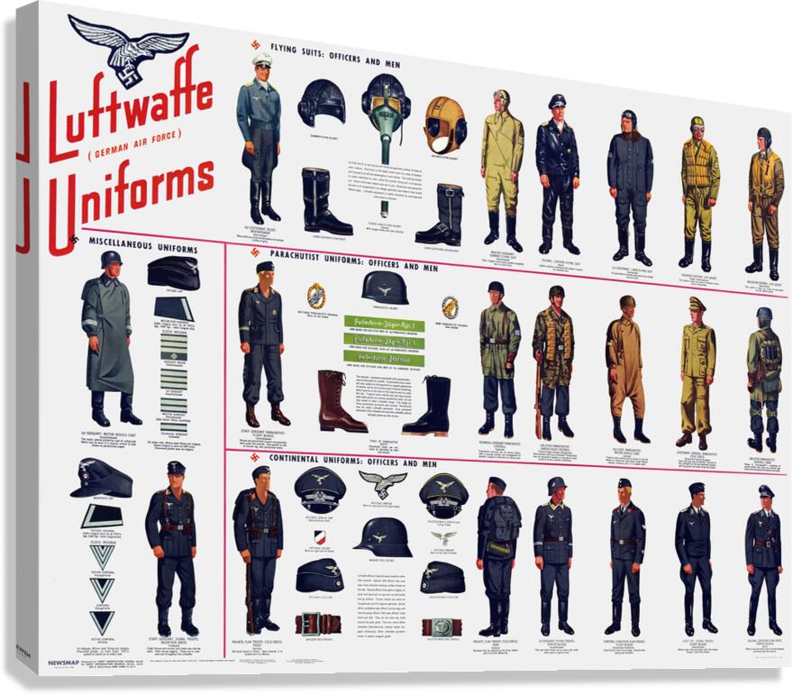 WWII German Luftwaffe Uniforms – Detailed Diagram of Nazi German Air ...