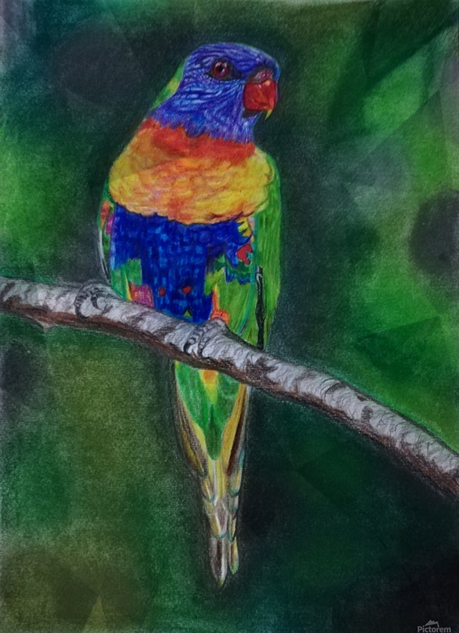 Bird by Misbah ali Wall Art