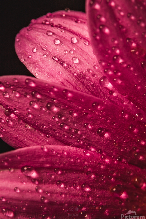 Constellation I by Daniel Thibault artiste-photographe Wall Art