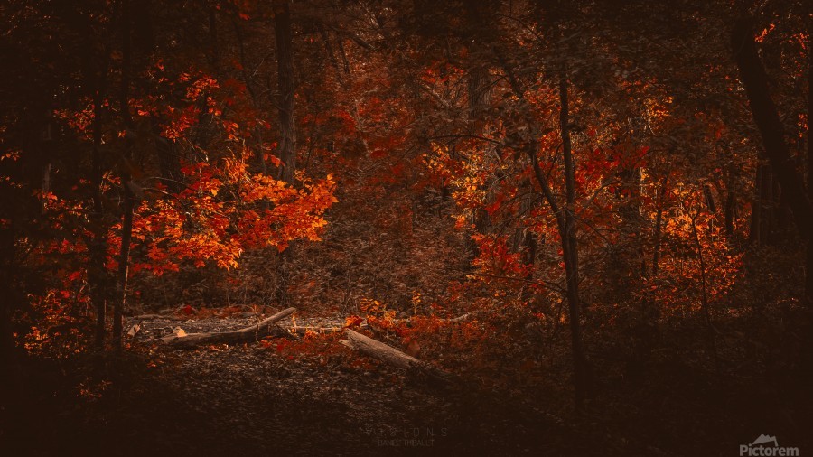 Somewhere in fall by Daniel Thibault artiste-photographe Wall Art