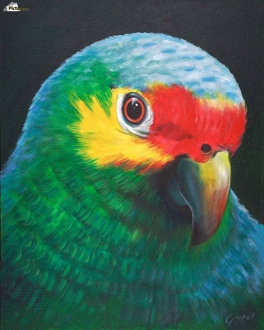Sam by Bill Gimbel Wall Art