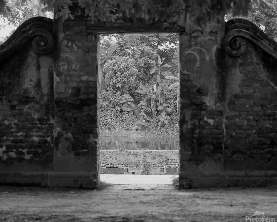 Dreamworld by Ismat Jahan Wall Art