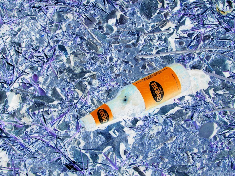 What is Important by Daniel Rothenberg Wall Art