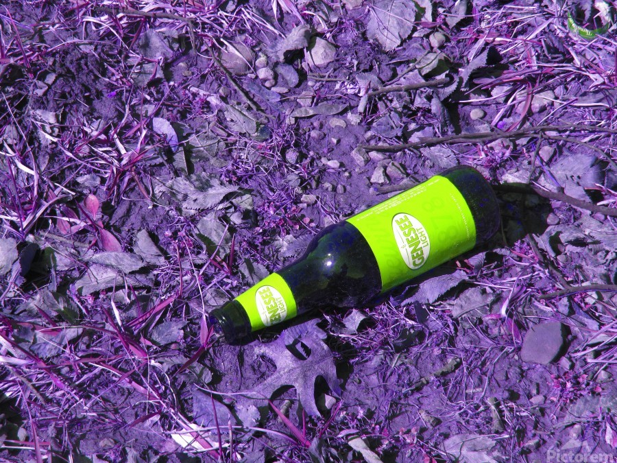 What is Important by Daniel Rothenberg Wall Art