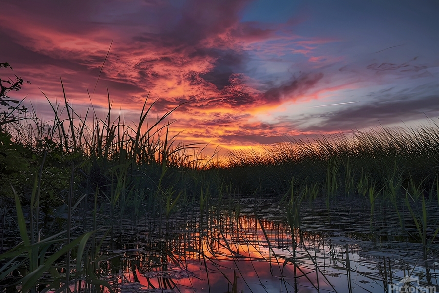 Sunset sky and grass silhouette nature background by Anghel Viorel Wall Art