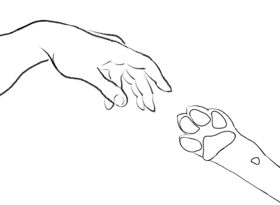 The Creation of Dog by Morgan Witherspoon Wall Art