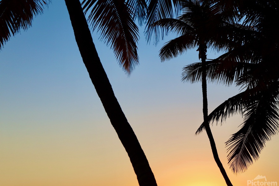 Miami Vice Sunset by Franklin Oldham Wall Art