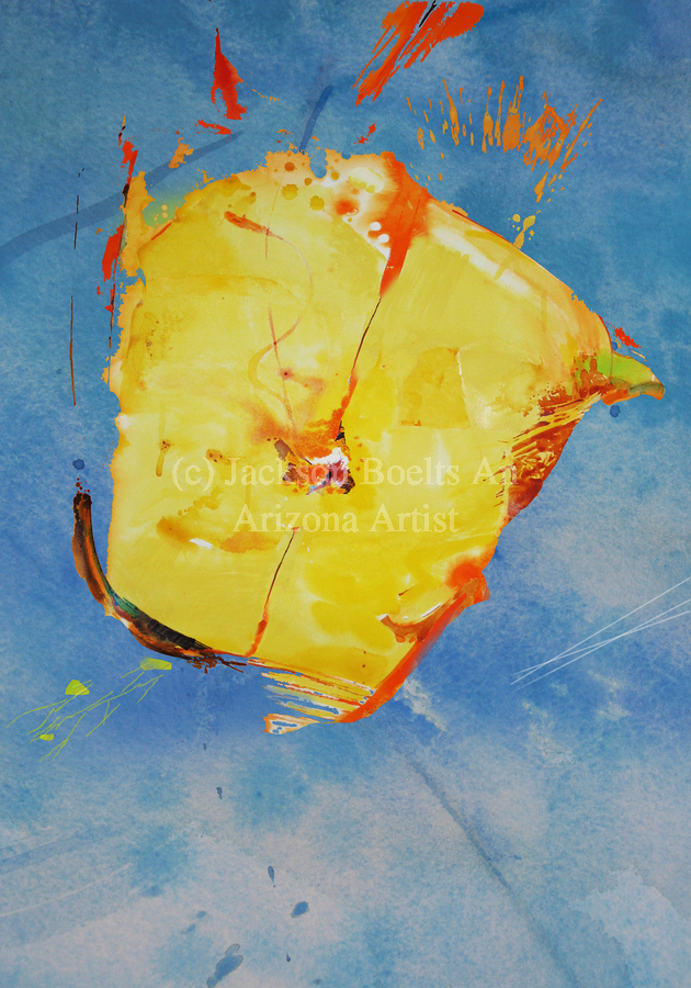 Yellow Shield by Jackson Boelts An Arizona Artist Wall Art