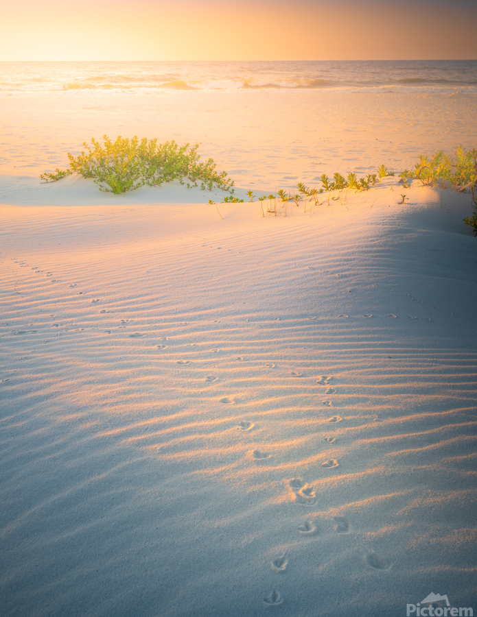 Sunrise At Gulf Islands National Seashore by Jordan Hill Photography ...