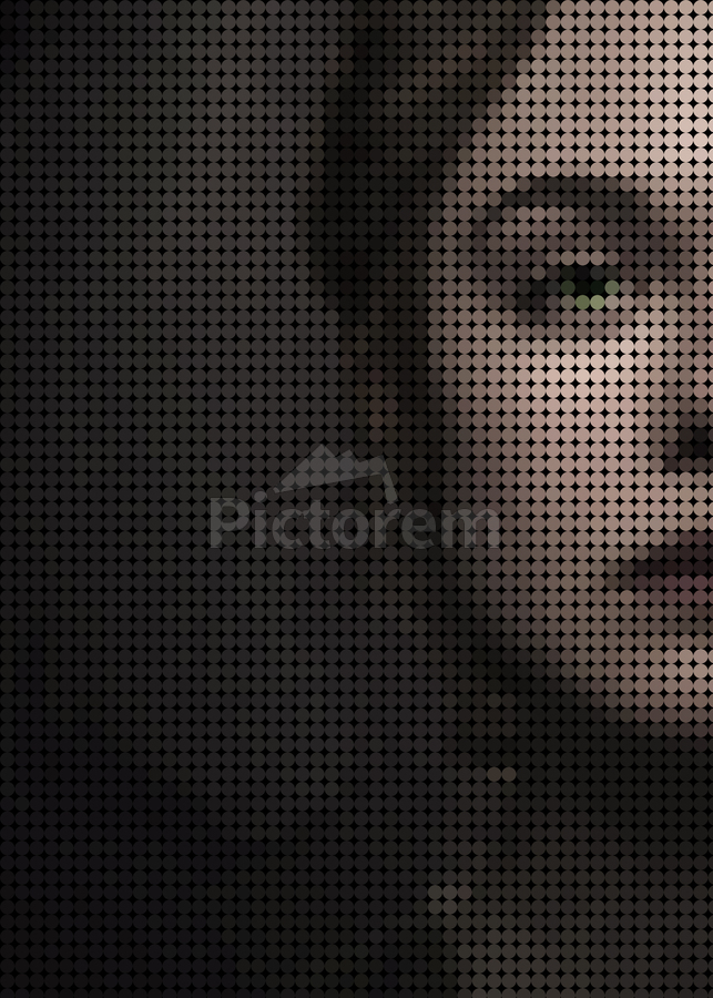 mary shelley by Gunawan Rb Wall Art