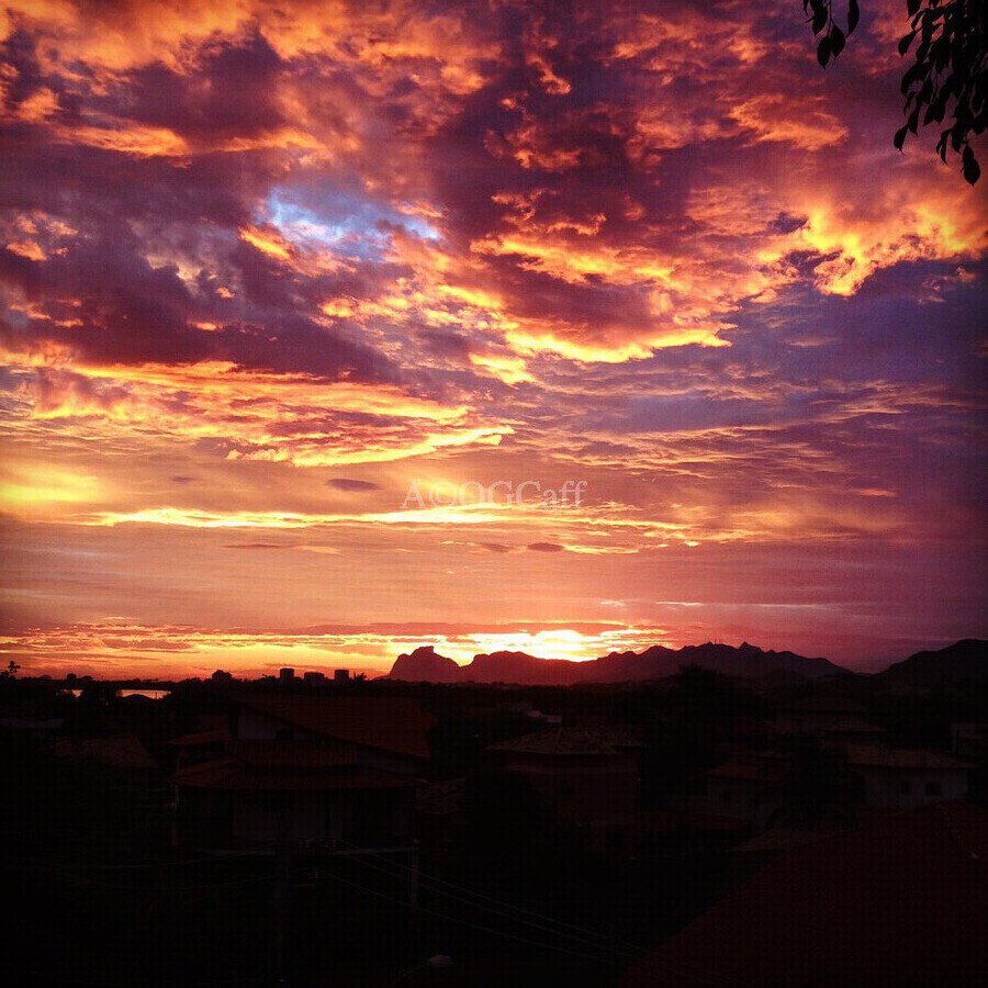 Rare Sunset by OGCaff Wall Art