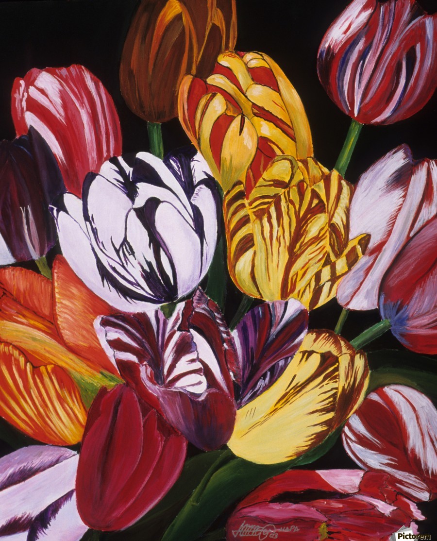 Rembrandts by Bella Visat Artist Wall Art