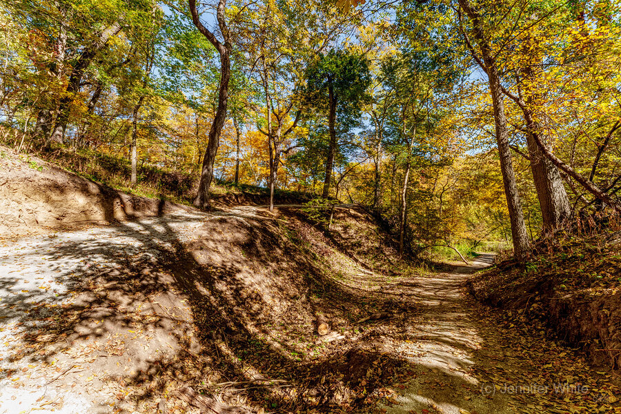 Switchback Wooded Hiking Trail by Jennifer White Wall Art