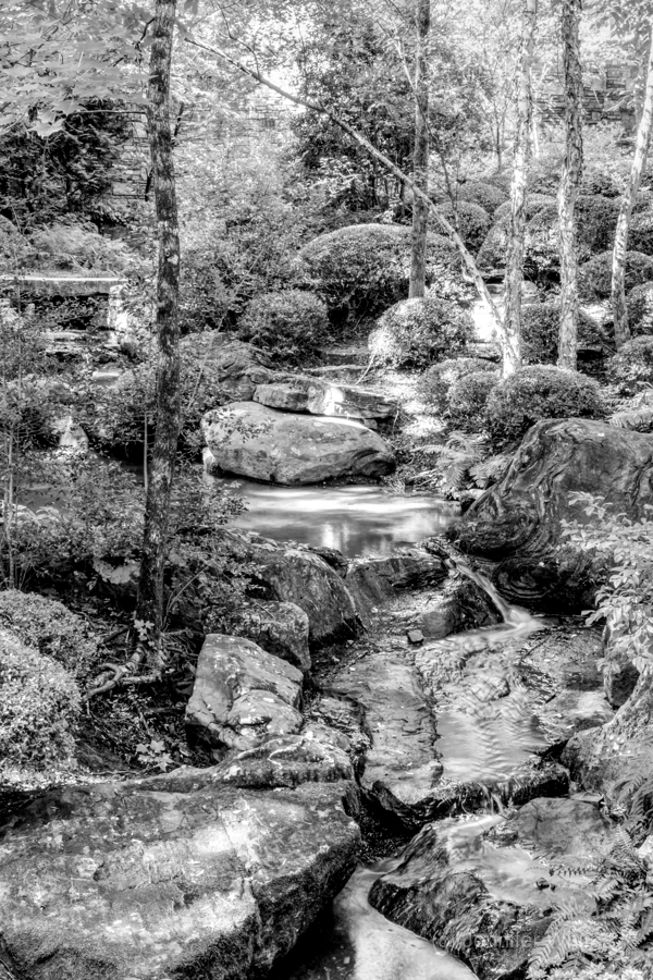 Forest Rock Garden Waterfall Grayscale by Jennifer White Wall Art