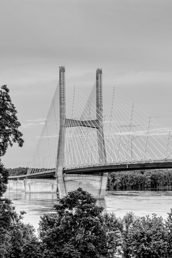 Evening Bill Emerson Bridge Vertical Grayscale by Jennifer White Wall Art