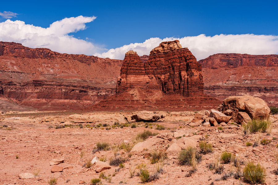 Block Rock Butte Utah by Jennifer White Wall Art