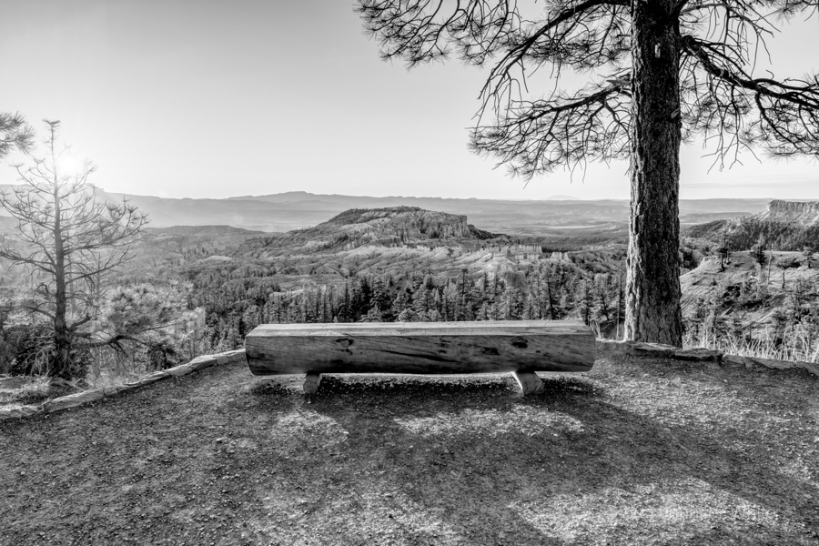 Sunrise Bench Glow Bryce Canyon Grayscale by Jennifer White Wall Art