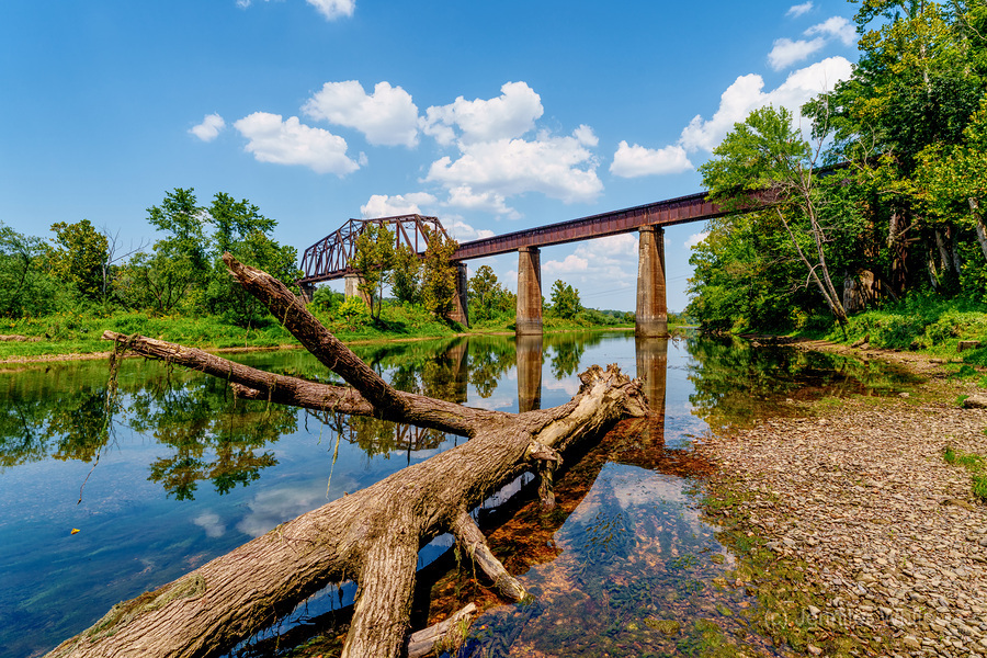 Cotter River Banked Tree by Jennifer White Wall Art