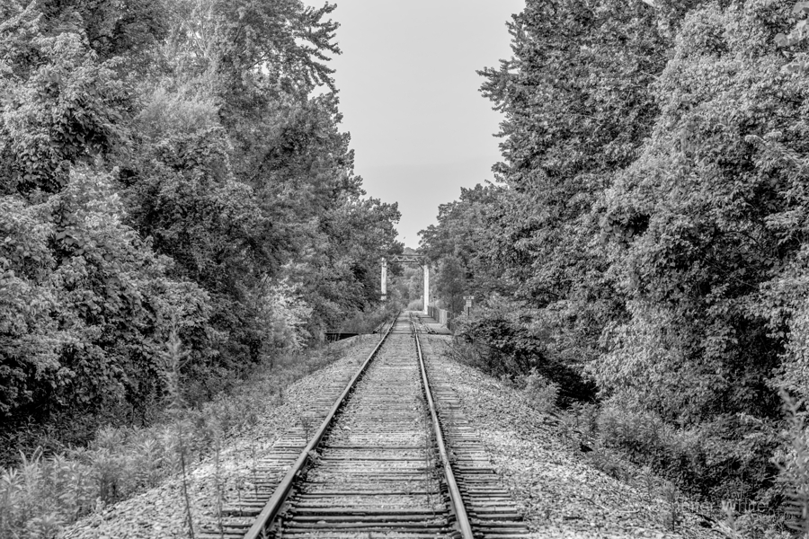 Ozarks Abandoned Railroad Tracks Grayscale by Jennifer White Wall Art