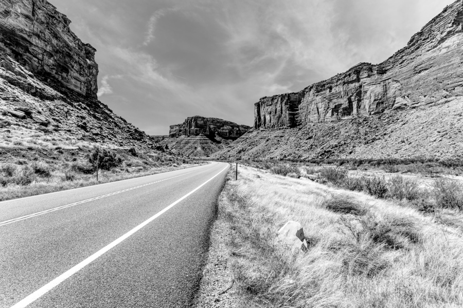 Utah Scenic Highway 128 Roadside Grayscale by Jennifer White Wall Art