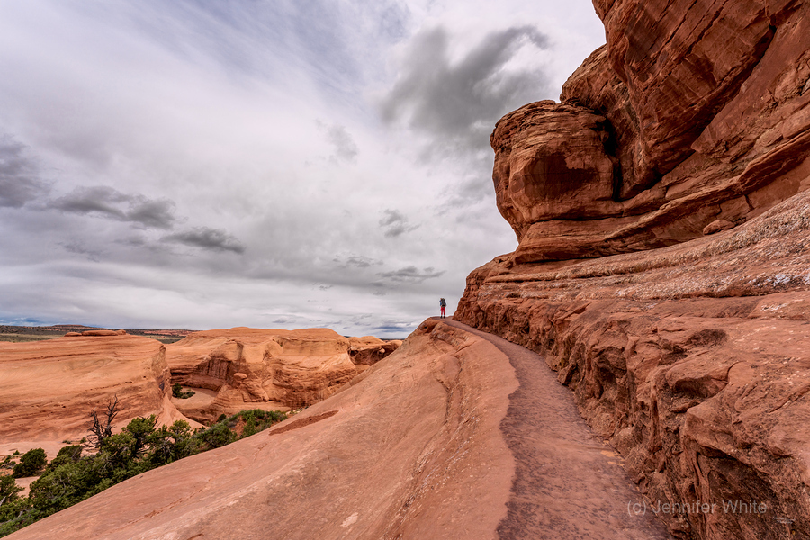 Narrow Path To Delicate Arch by Jennifer White Wall Art