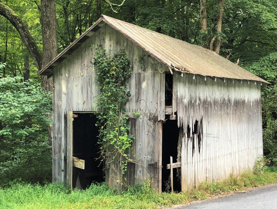Country Shack by Emerson Wall Art