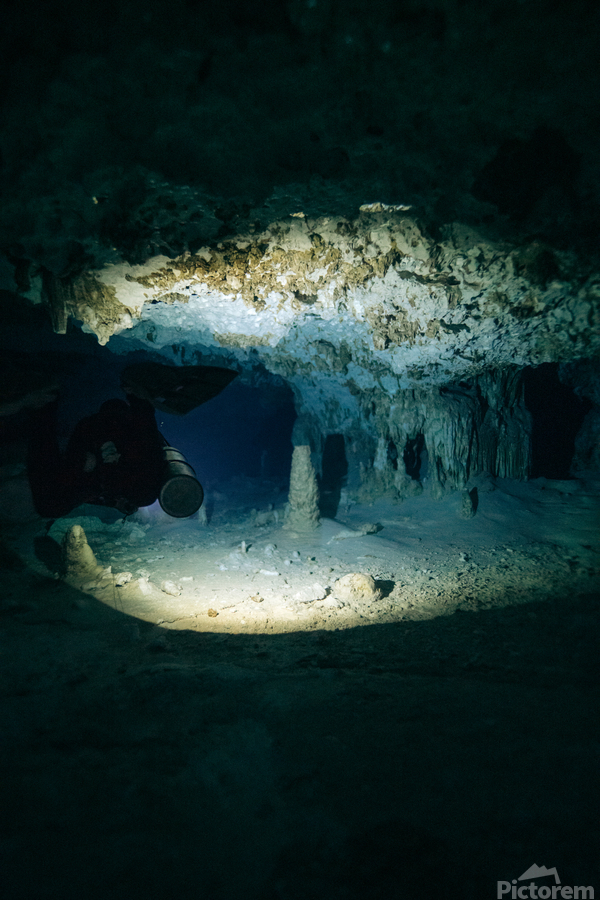 Illumination by Sarah Teng Wall Art