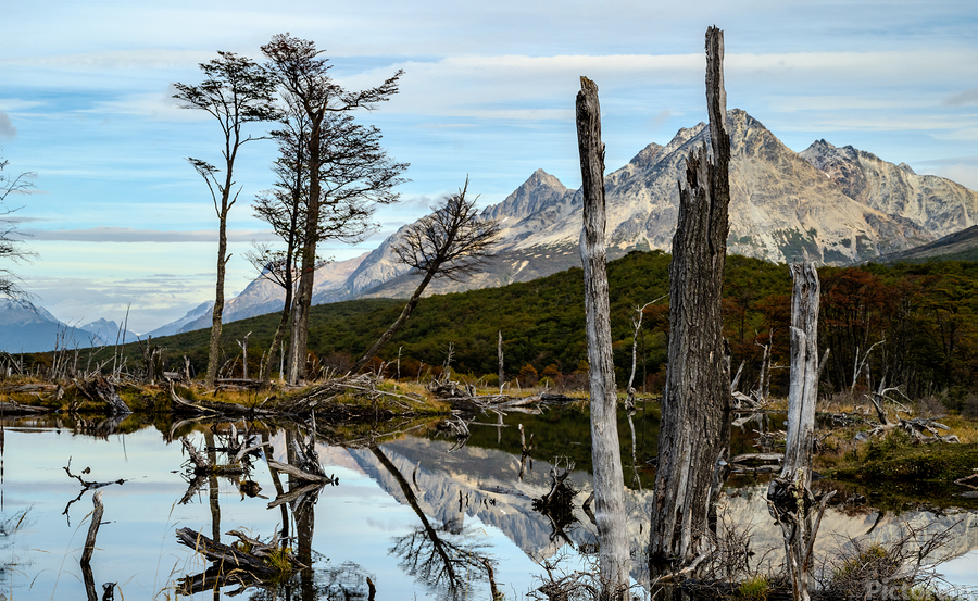 Ushuaia Argentina: Tierra del Fuego Leguna Esmeralda by Mark Gingery ...