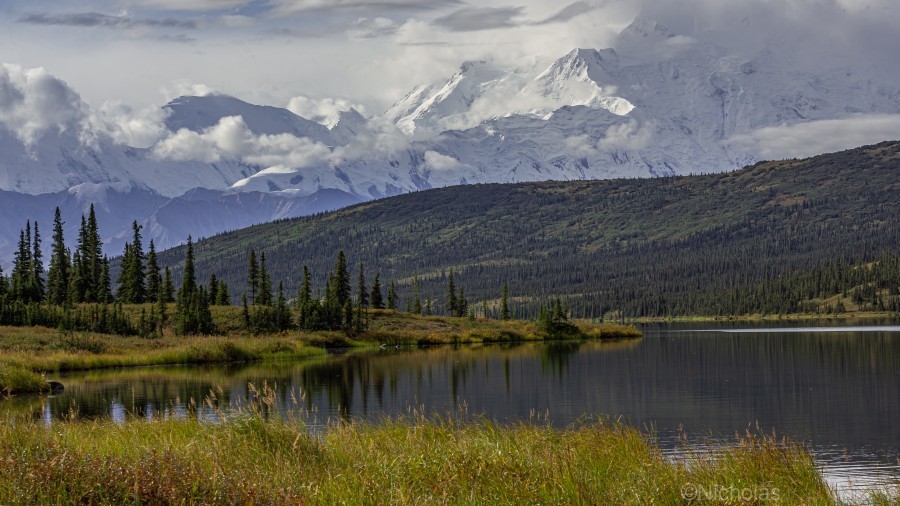 Denali Rising by Nicholas Wall Art
